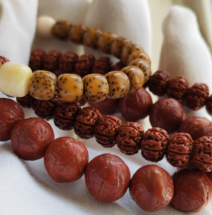 What are Bodhi Seeds and How to Use Them – Buddha3bodhi