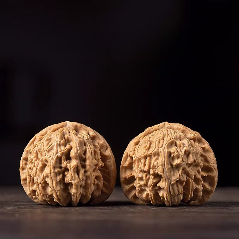 White Lion Head Playing Walnuts – Beginner Edition – Buddha3bodhi