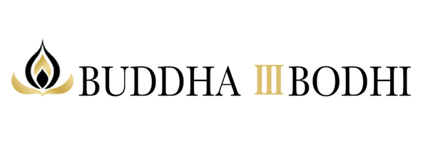 What are Bodhi Seeds: Meaning, Benefits, and How to Use – Buddha3bodhi