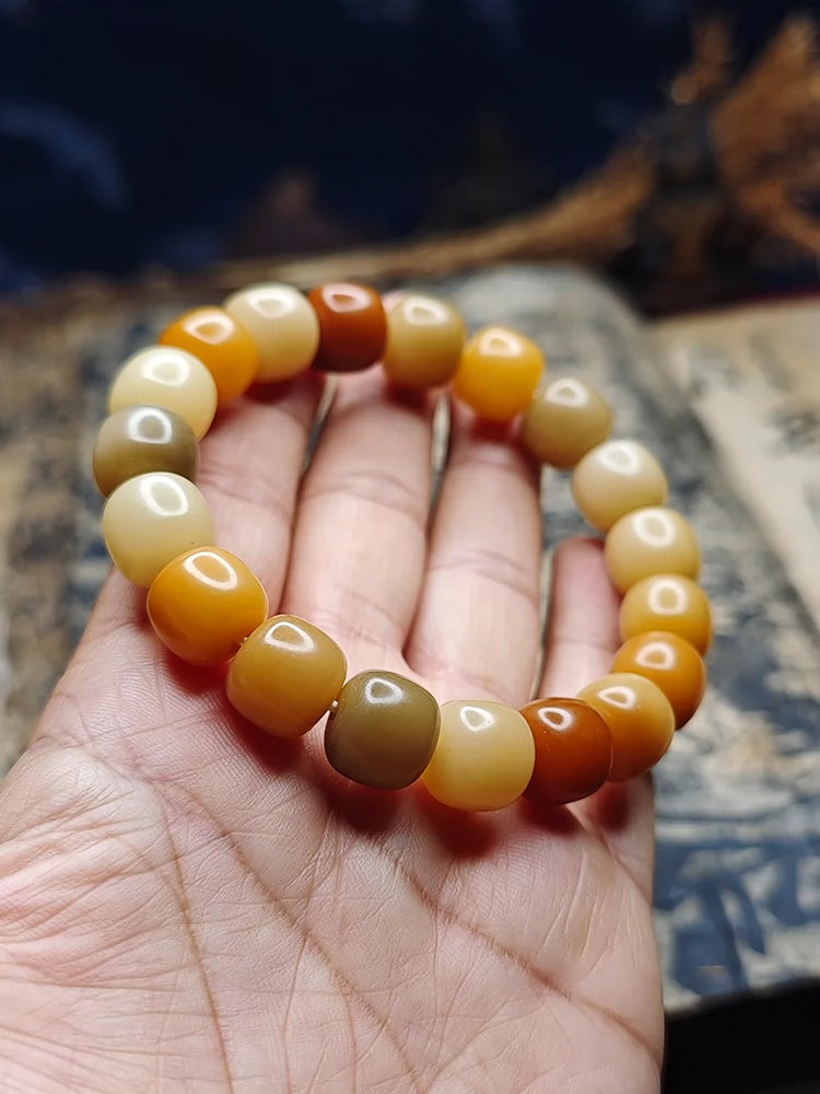 Bodhi Root Bracelet Beads for Focus and Calm – Buddha3bodhi